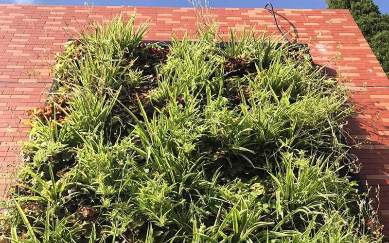 Hanging Water Tank® Innovative Urban Watersystem